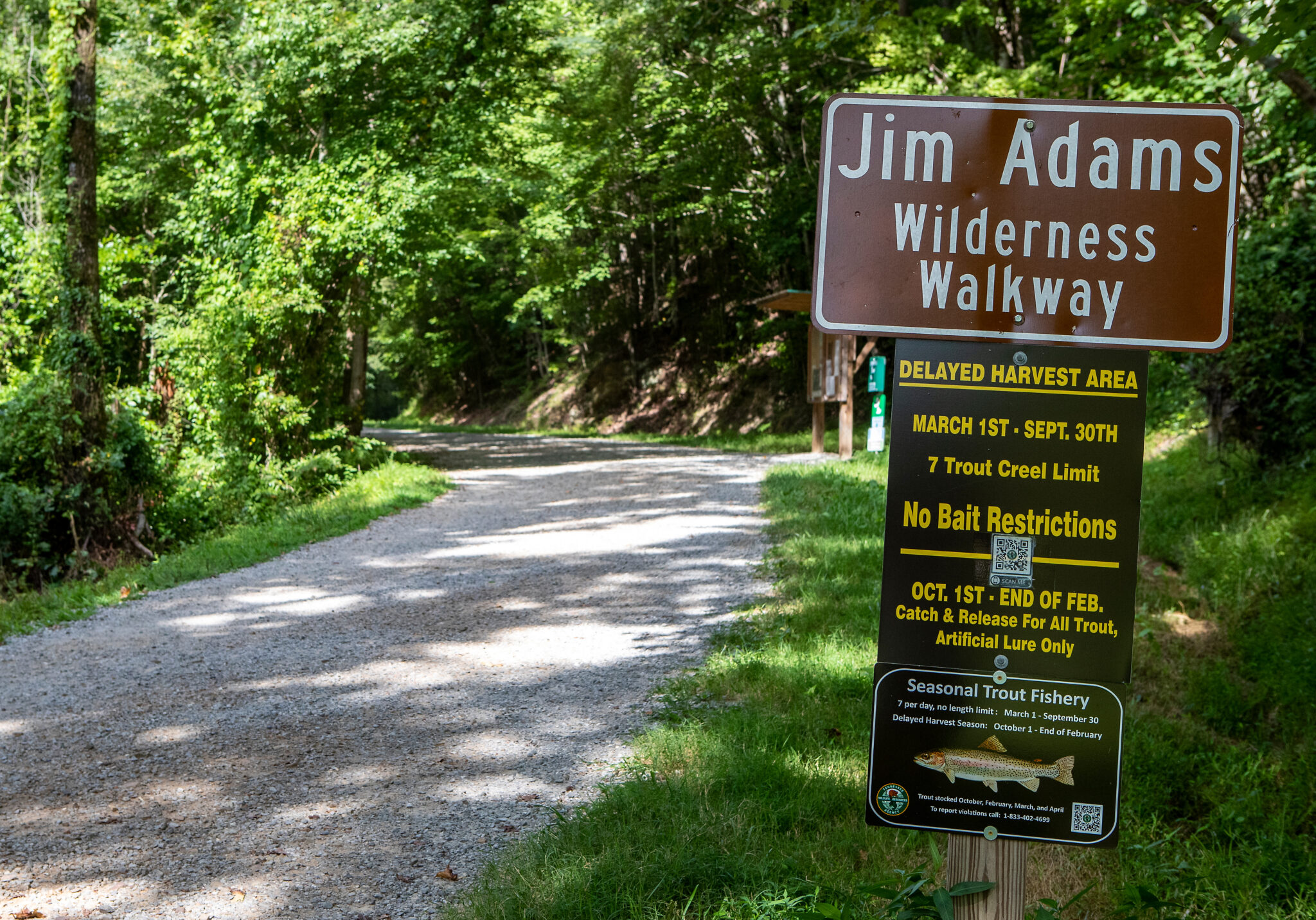 Discover Soddy-Daisy, TN: A Charming City with Rich History and Natural ...